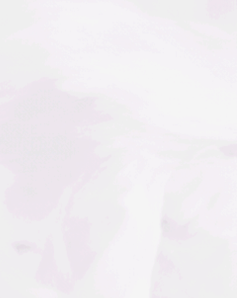 Smile-Line Pinsel Gr.6 | Smile-Line Pinsel Gr.6 | 776